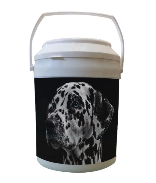 COOLER 6 LITROS PERSONALIZADO